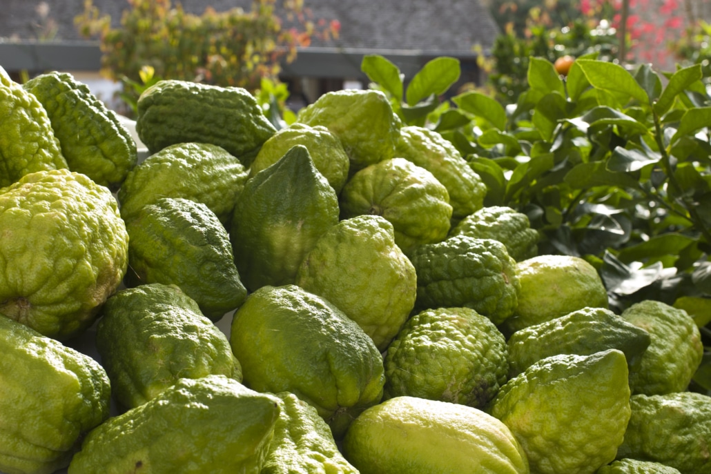 Uitgelicht: Sukade - De NotenBeurs